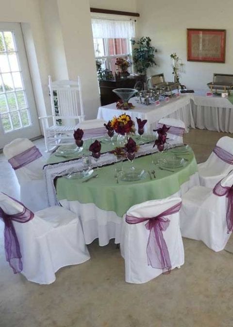 CornerStone Farm | Virginia Farm Vacation Bed and Breakfast Nigerian ...